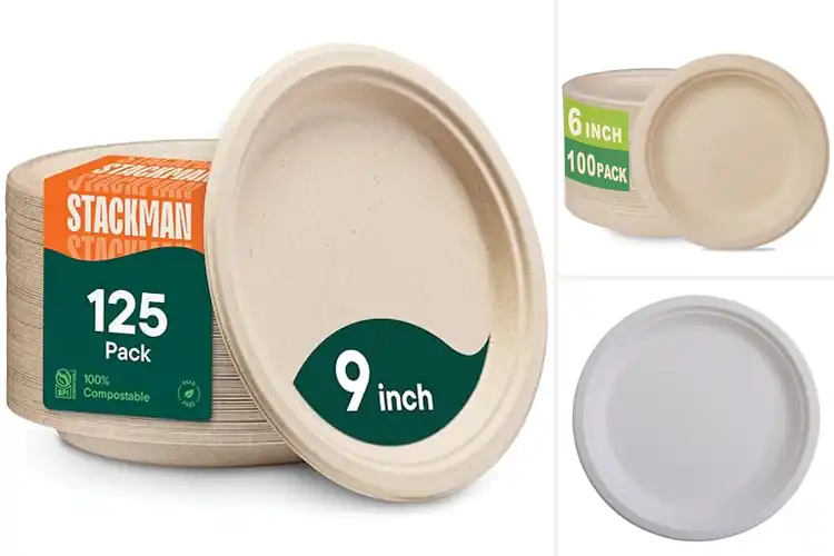 Eco Plates: Stylish Sustainable Dining Essentials – Cooktiva